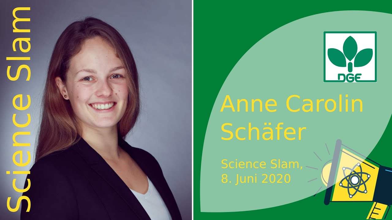 FBDG: wissenschaftlich abgeleitete Empfehlungen zur Auswahl von ...